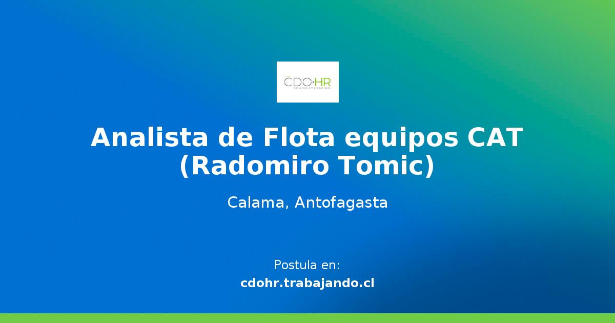 Analista de Flota equipos CAT (Radomiro Tomic) - Trabajando.com