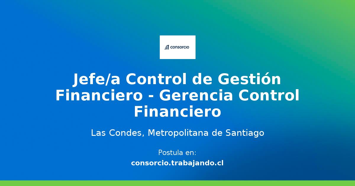Jefe/a Control de Gestión Financiero - Gerencia Control Financiero ...