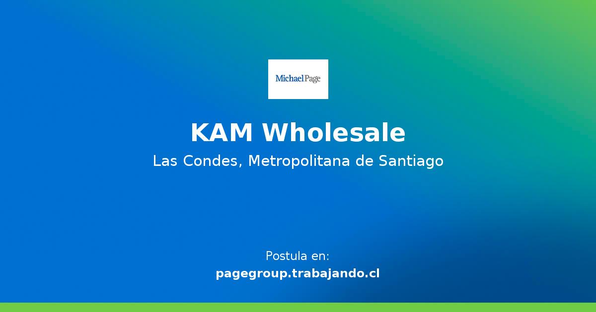 KAM Wholesale - Trabajando.com