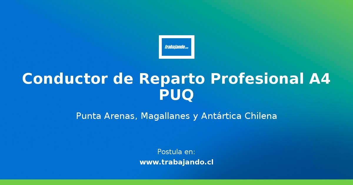 Conductor de Reparto Profesional A4 PUQ - Trabajando.com
